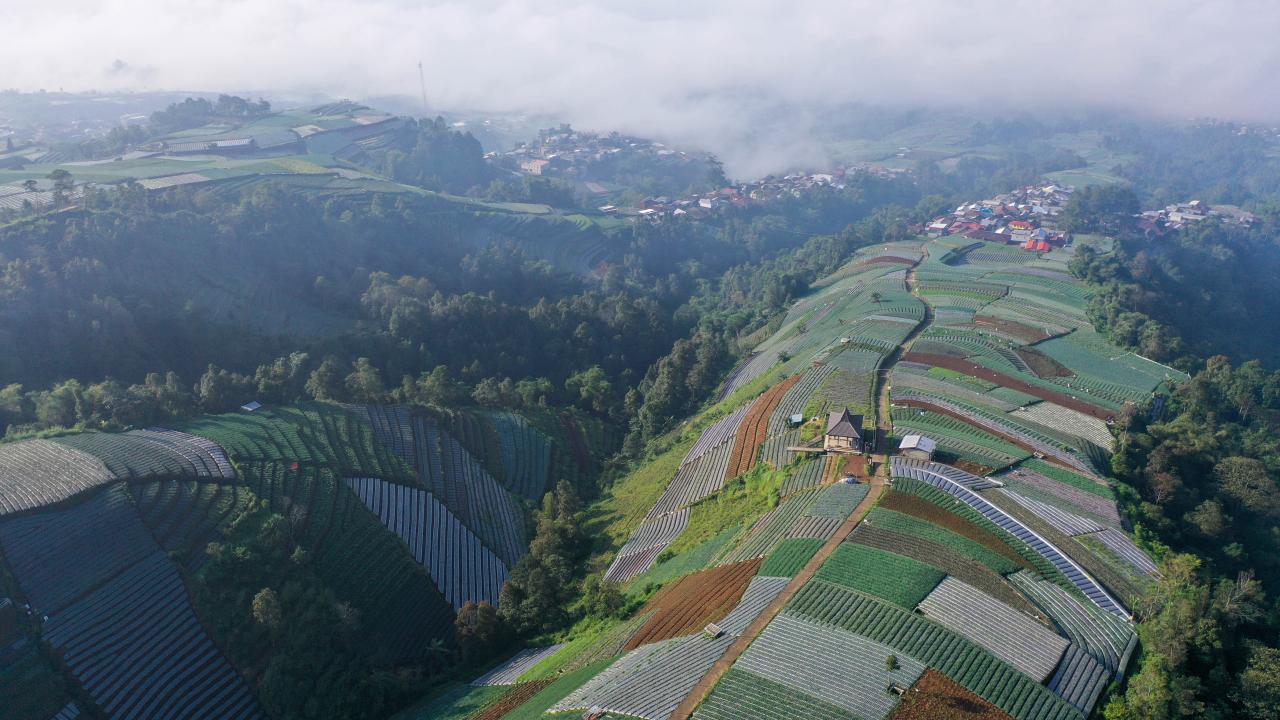 Menyusuri Keindahan Desa Wisata di Lereng Gunung Sumbing yang Menyegarkan Mata